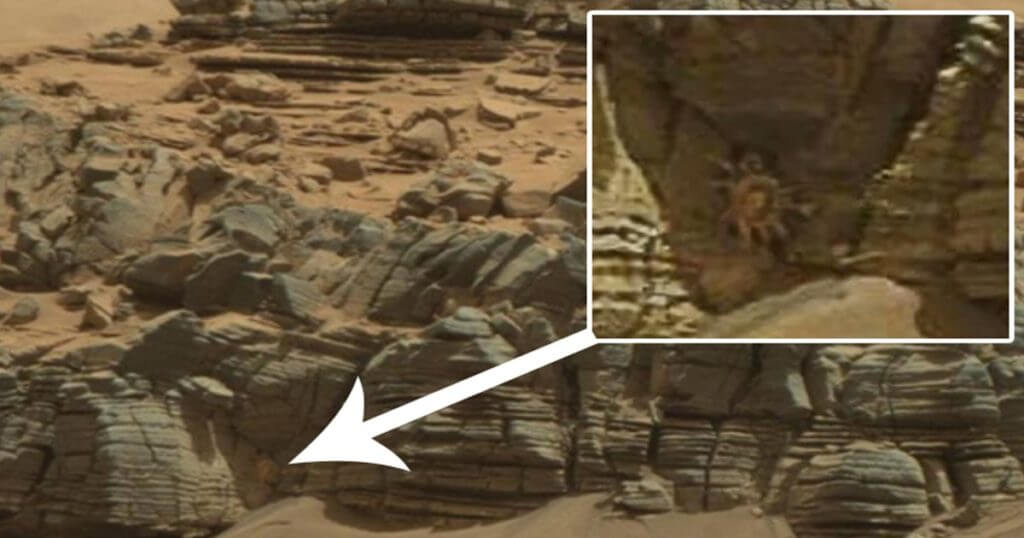 Life on Mars – Weird Crab-like Creature Discovered on the Red Planet ...