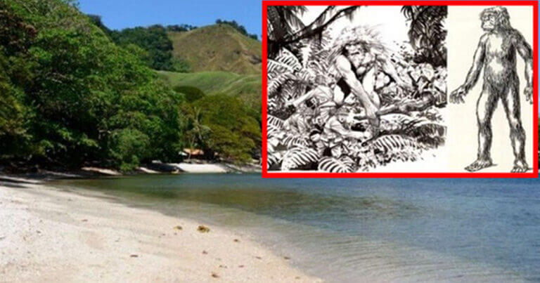 The Solomon Islands is Home to a Race of Giant Beings That Still Exist ...