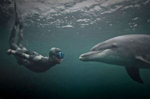 NASA Experiment: Dolphins Drop Acid, While Learning To Communicate ...