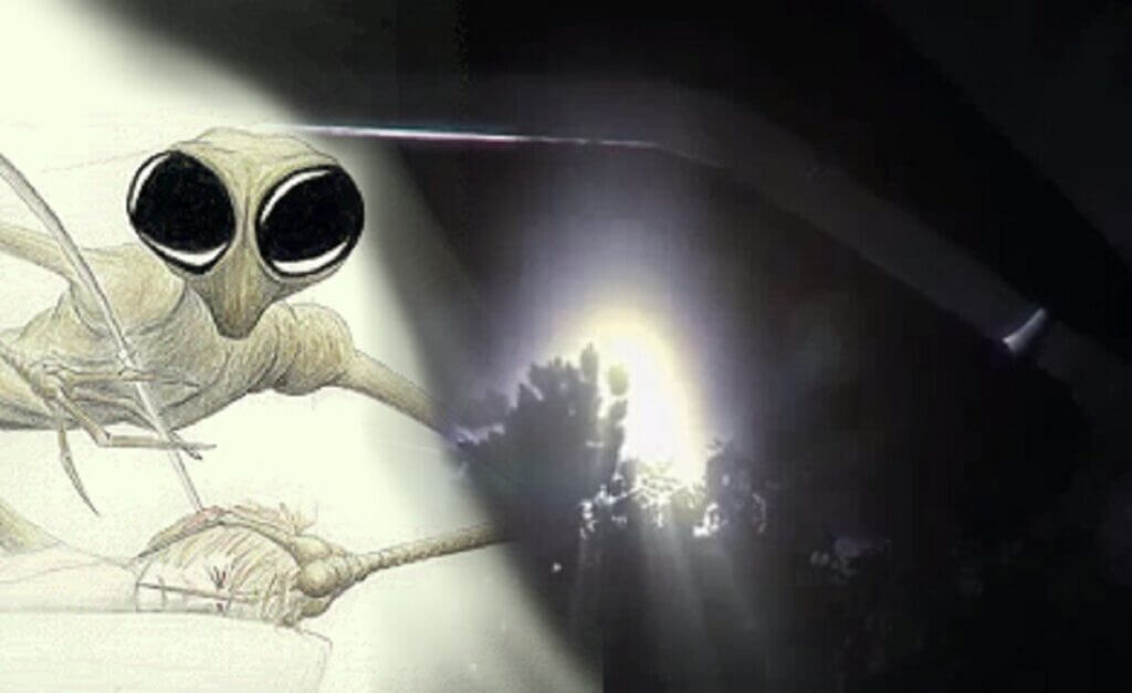 Alien Abduction Therapy | Time For Disclosure | We have never been alone