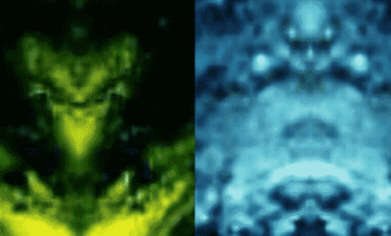 DANIEL NEMES THE INTER DIMENSIONAL BEING VIEWER | Time For Disclosure ...